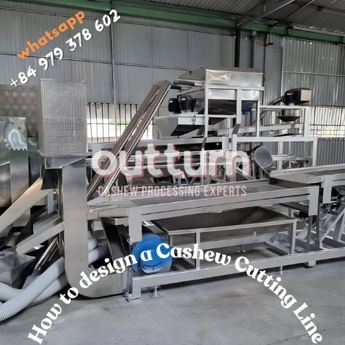How to Design a Cashew Cutting Line